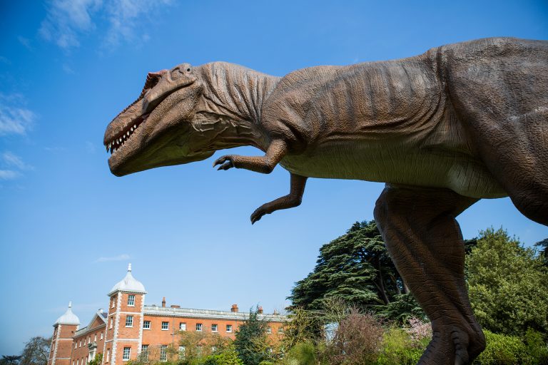 Dare to Enter the Kingdom of the Dinosaurs | Marketing Nottingham